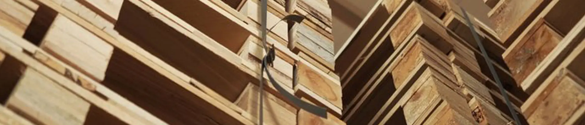 Pallets - Schäfer GmbH & Co. KG